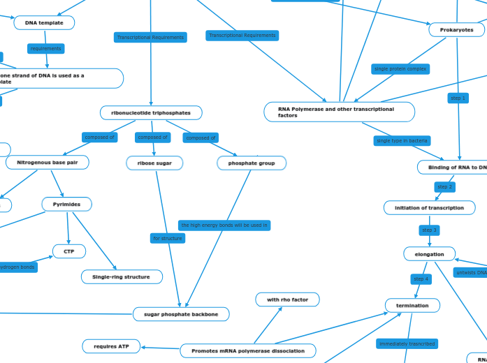 Concept Map 3 - Mind Map